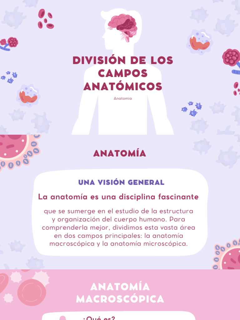 División de Campos en Anatomía Humana | PDF | Anatomía | Microscopio