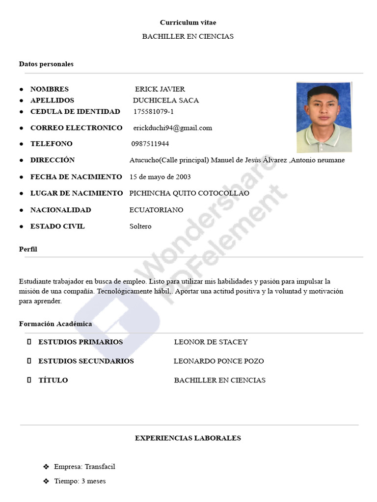 CV ERICK(2) (1) | PDF