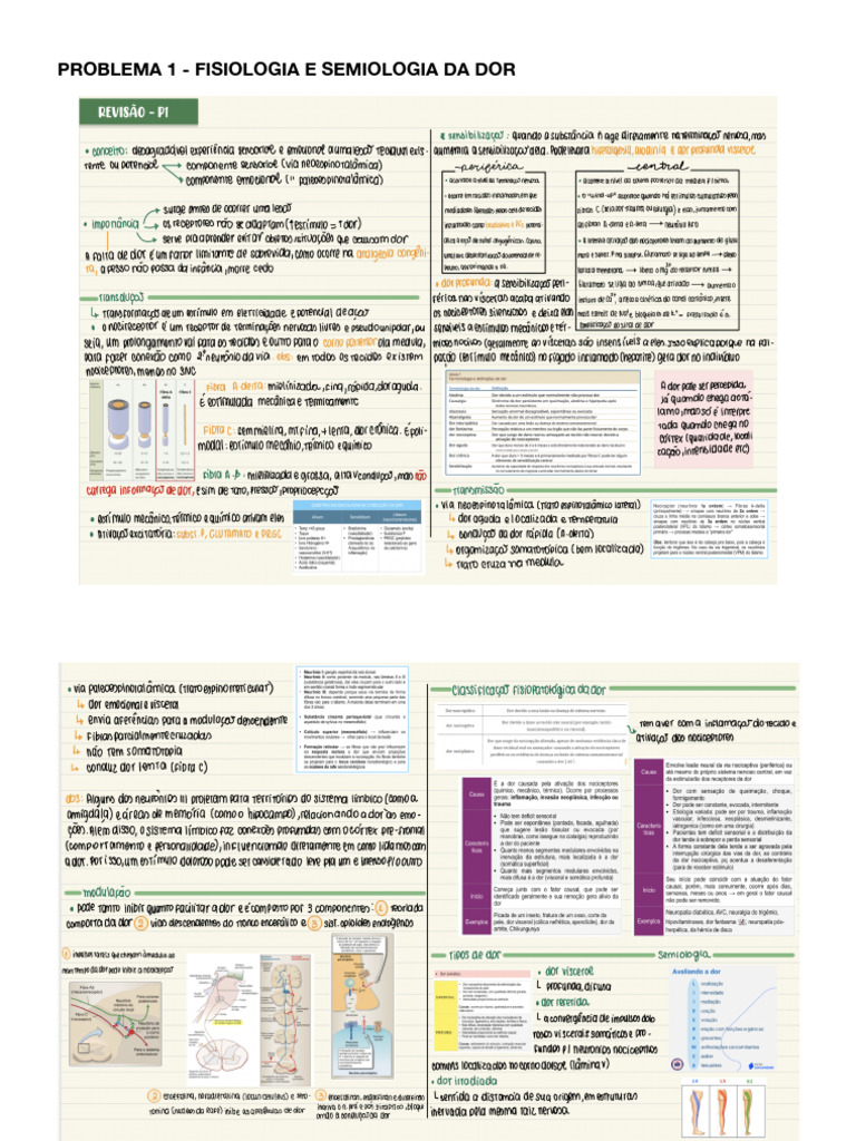 Tabelas+de+Revisa3fo+ +Dor 2 | PDF | Opioide | Dor