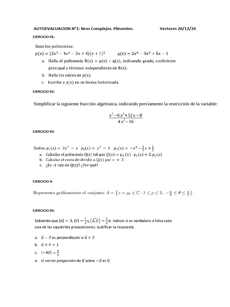 Autoevaluacion N - 1 | PDF