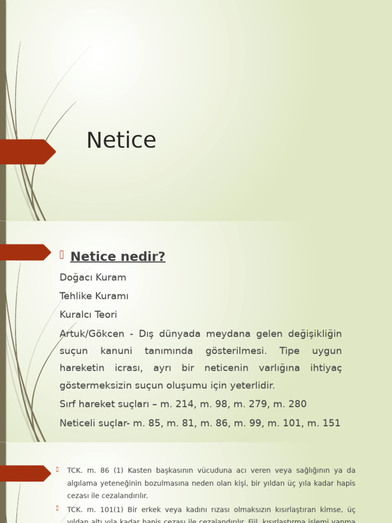 Netice | PDF