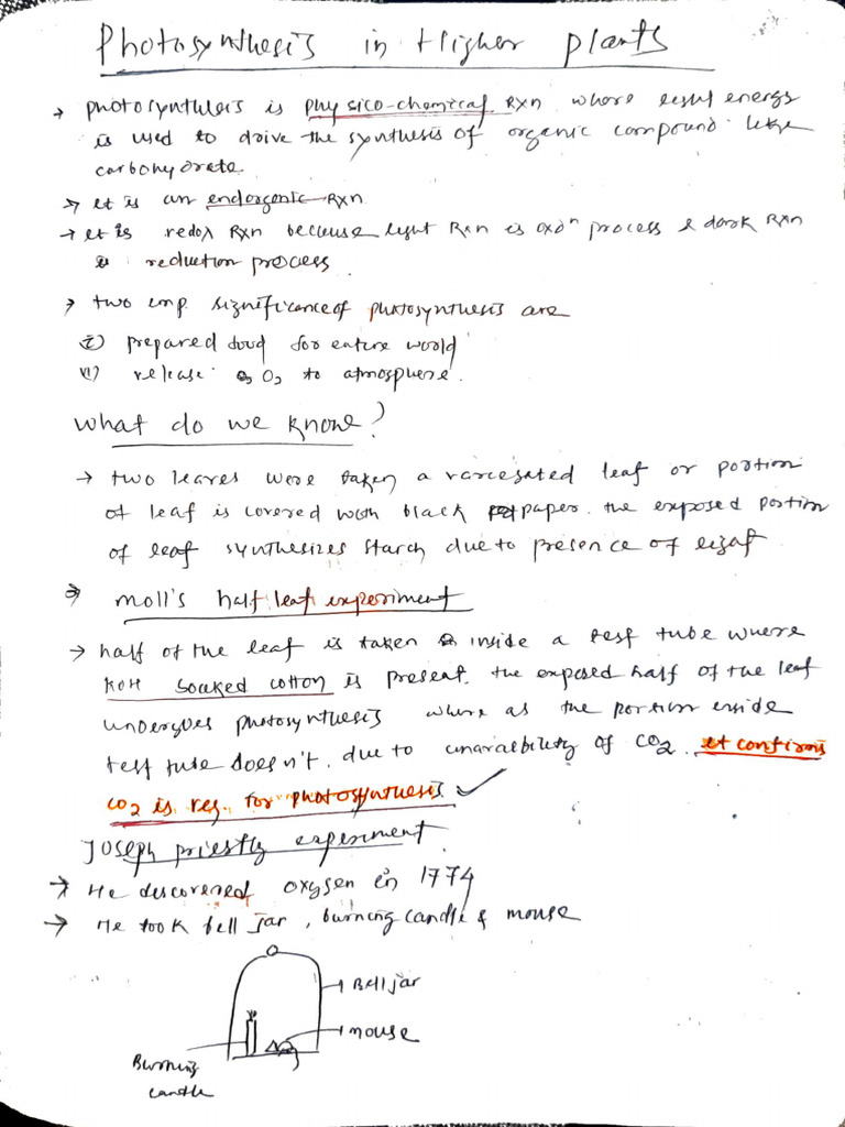 Photosynthesis in Higher Notes | PDF