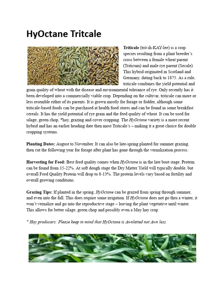 MOS Simulation #1 - Project #7.docx | PDF