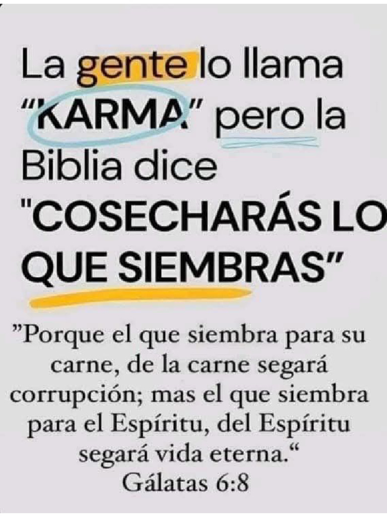 PDFReader 20250107 1555 | PDF