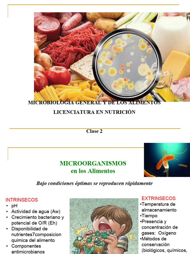 Factores Intrinsecos y Extrinsecos | PDF | Alimentos | Carne