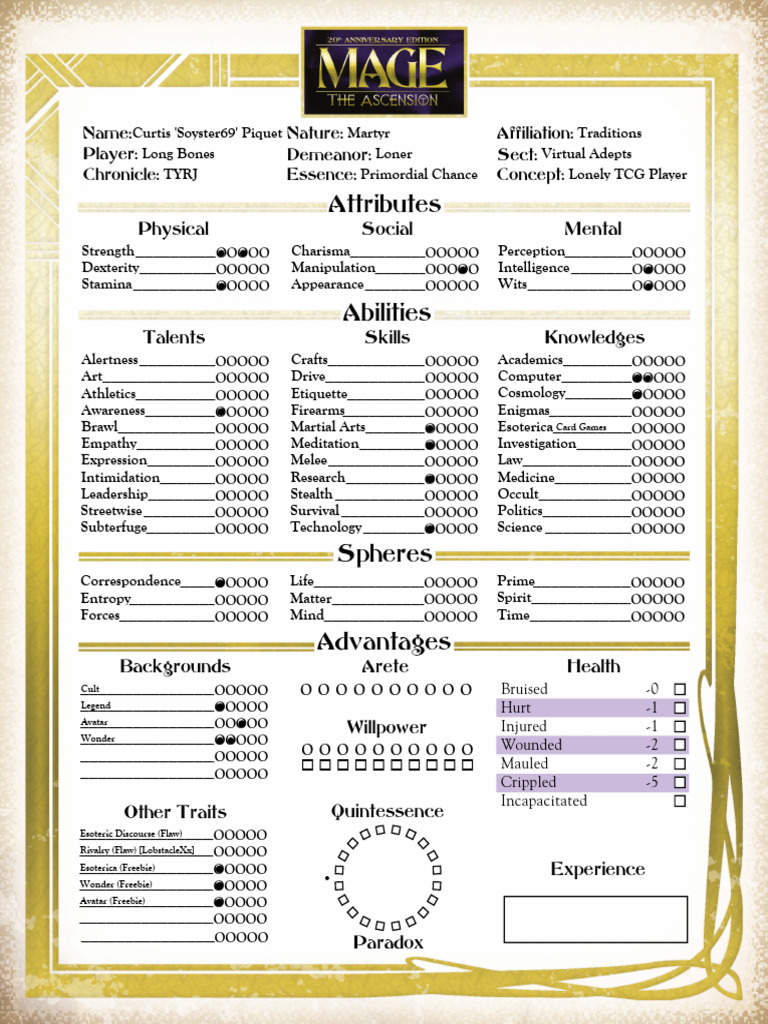 Character Sheet for RPG Players | PDF | Campaign Settings