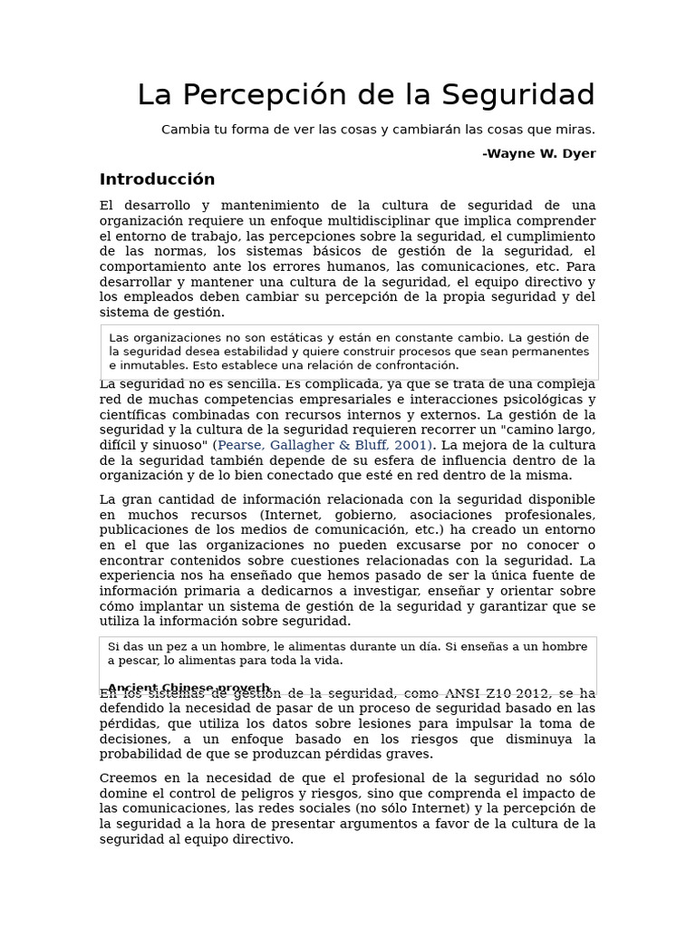 The Perception of Safety | PDF | Valores | Riesgo