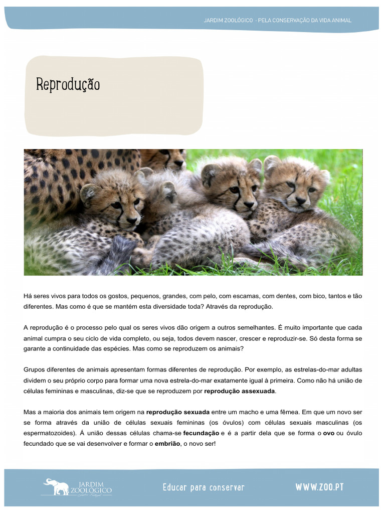 2ciclo Reproducao Reproducao | PDF