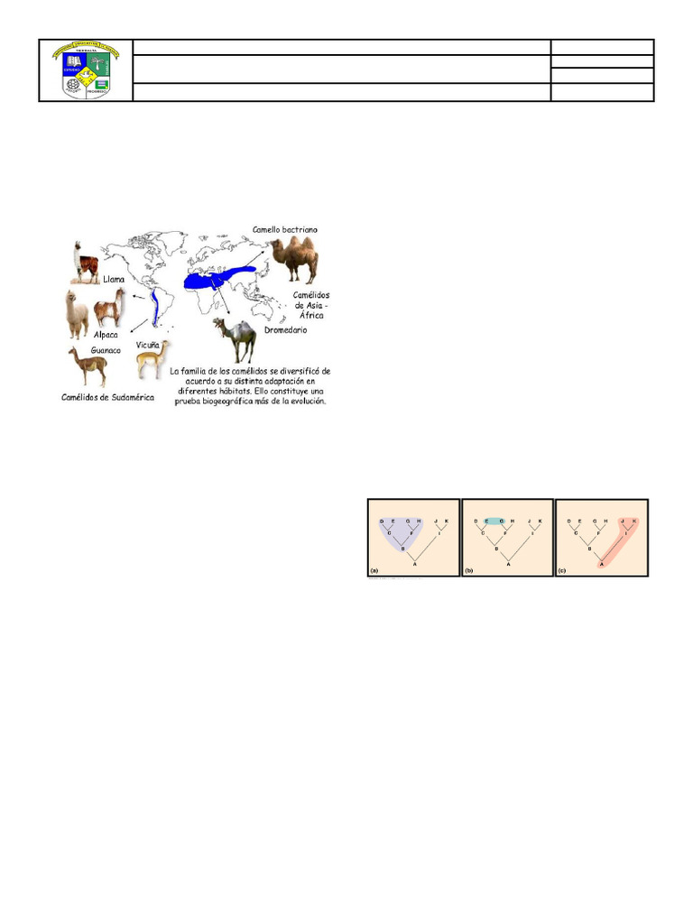 Taller Biogeografia Histórica | PDF | Biogeografia | Ciencias Naturales