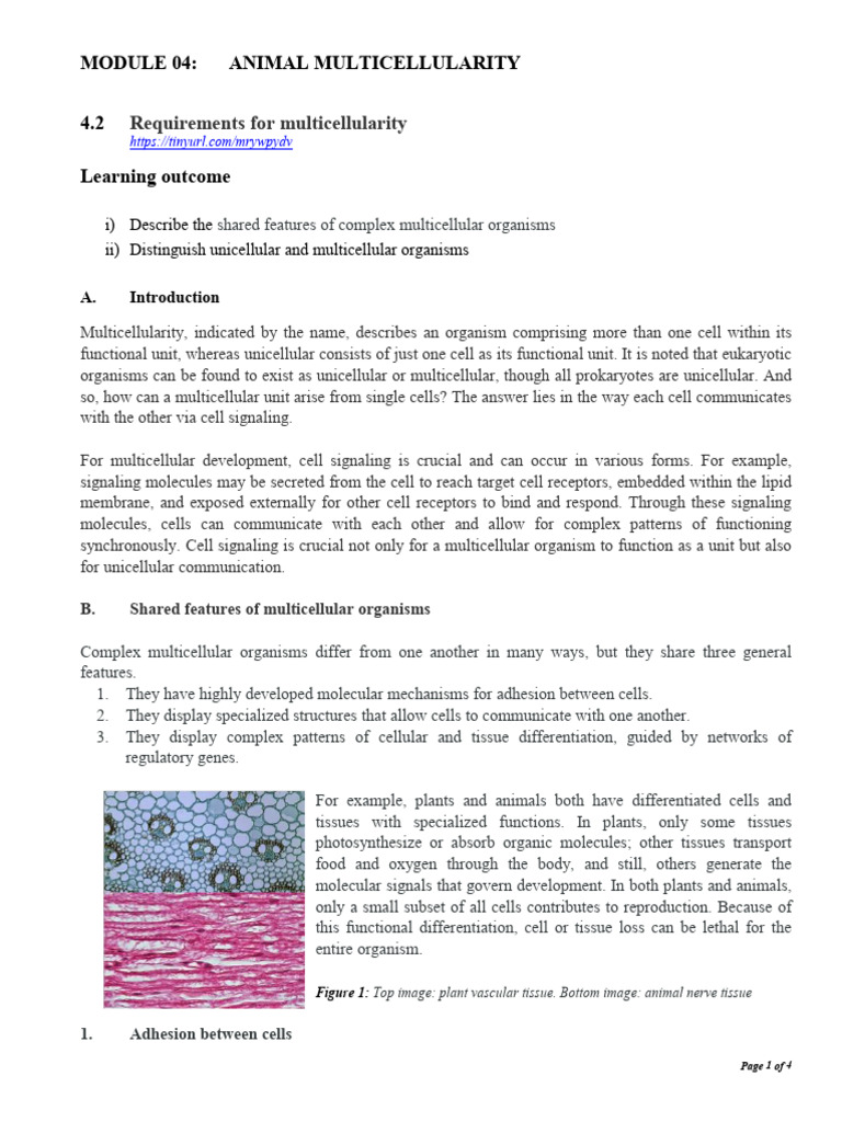 SZL 111 - Module 04 Lecture Notes - Section 4.2 - Requirements For ...