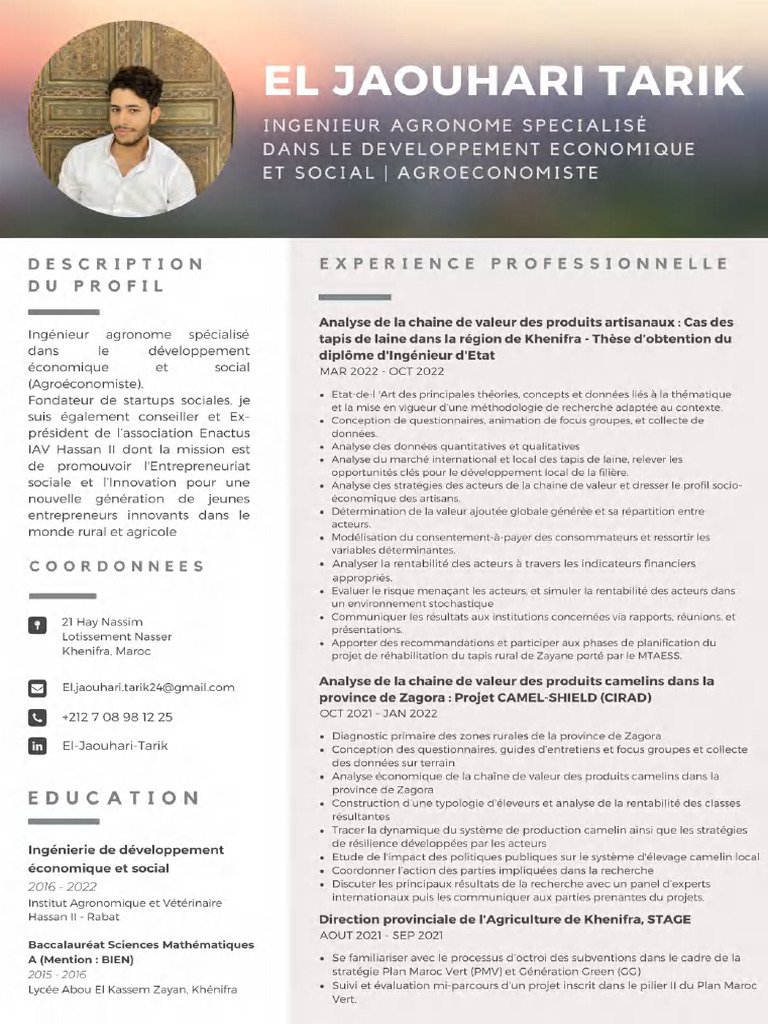 8-El Jaouhari Tarik CV | PDF