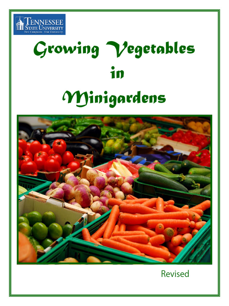 Minigarden Vegetable Growing Guide | PDF | Vegetables | Mulch