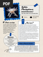 Etapas del Ciclo de Vida del Ajolote | PDF