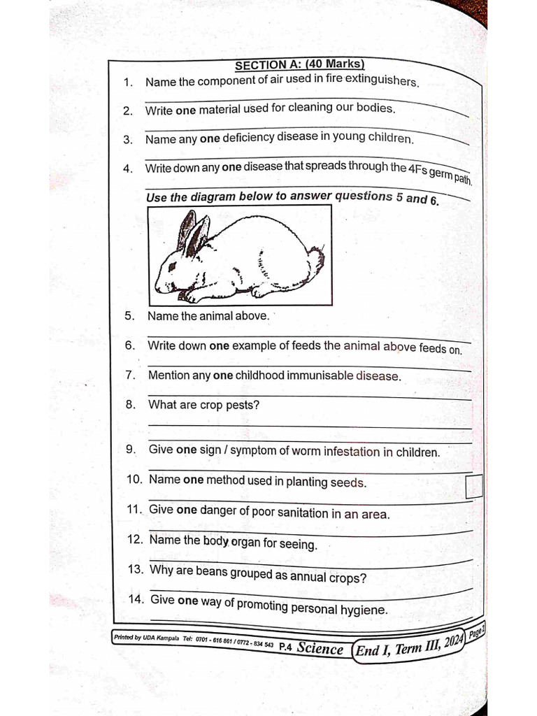 Taand Eot Sci P4 | PDF