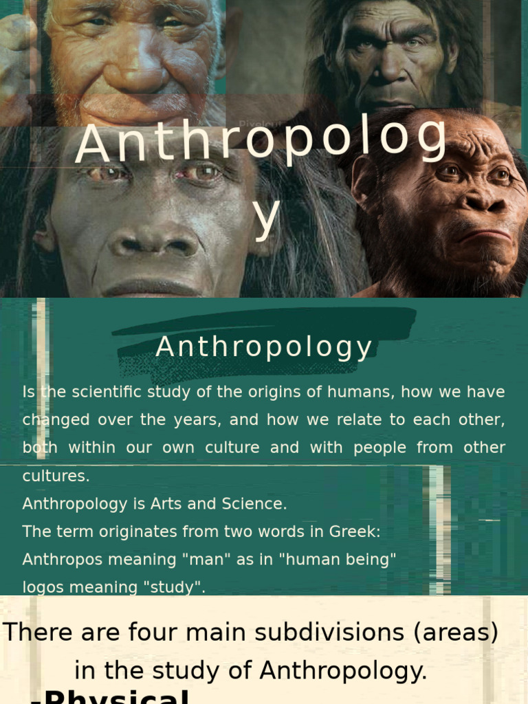 Overview of Anthropology Subfields | PDF