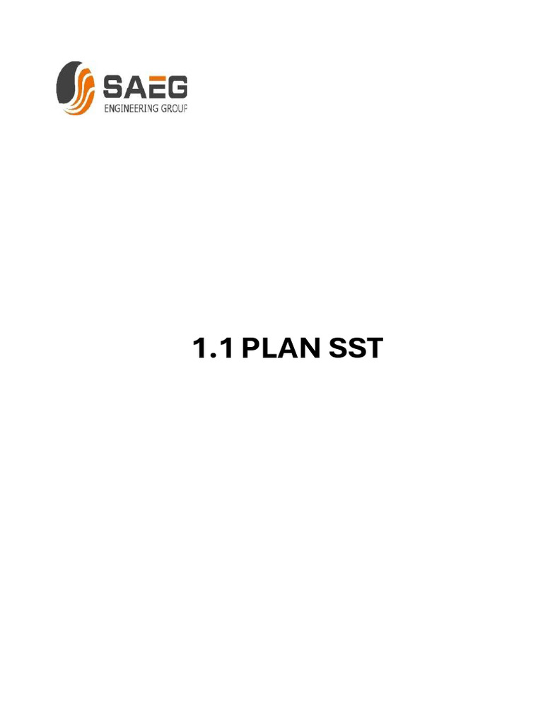 4 - 1 .1 Caratula Plan SST | PDF