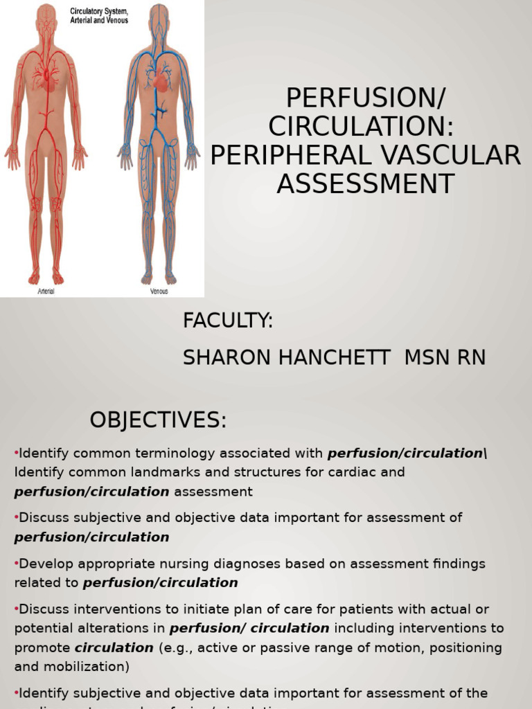 Lecture - Peripheral Vascular Assessment | PDF | Vein | Blood Vessel
