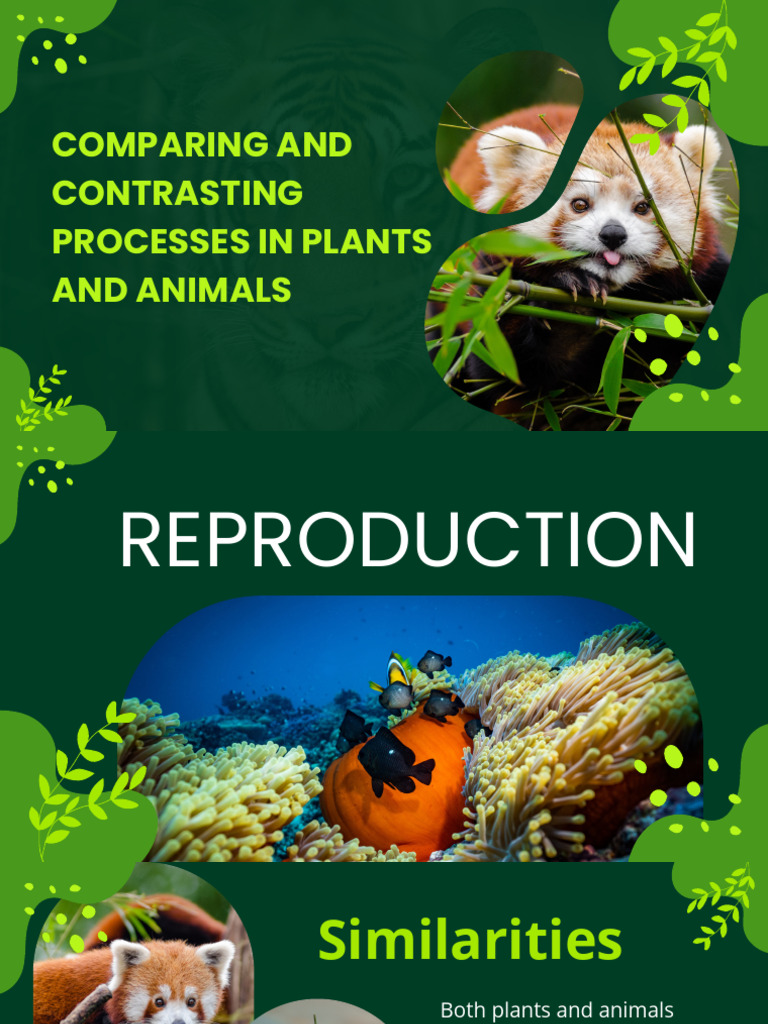BIO 2 G1 | PDF | Fertilisation | Plants