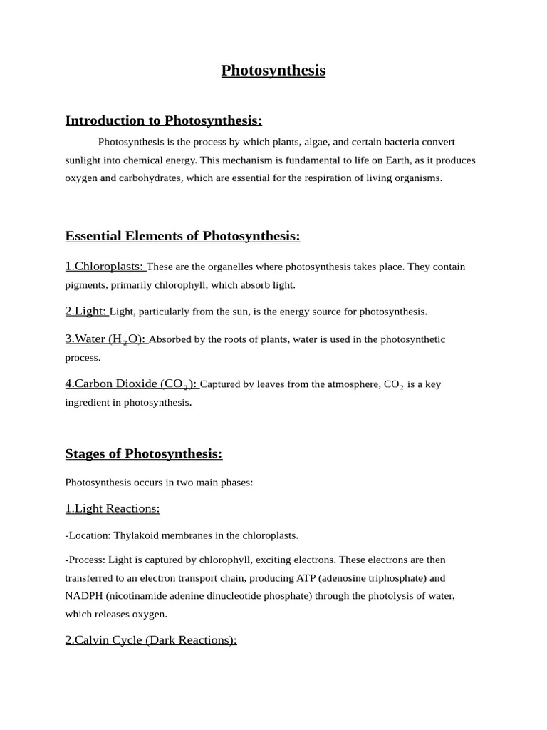 Photosynthesis | PDF