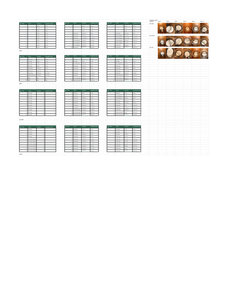 BTL1 - UD00 - Graella - Amancer Eléctrico - Full 1 | PDF