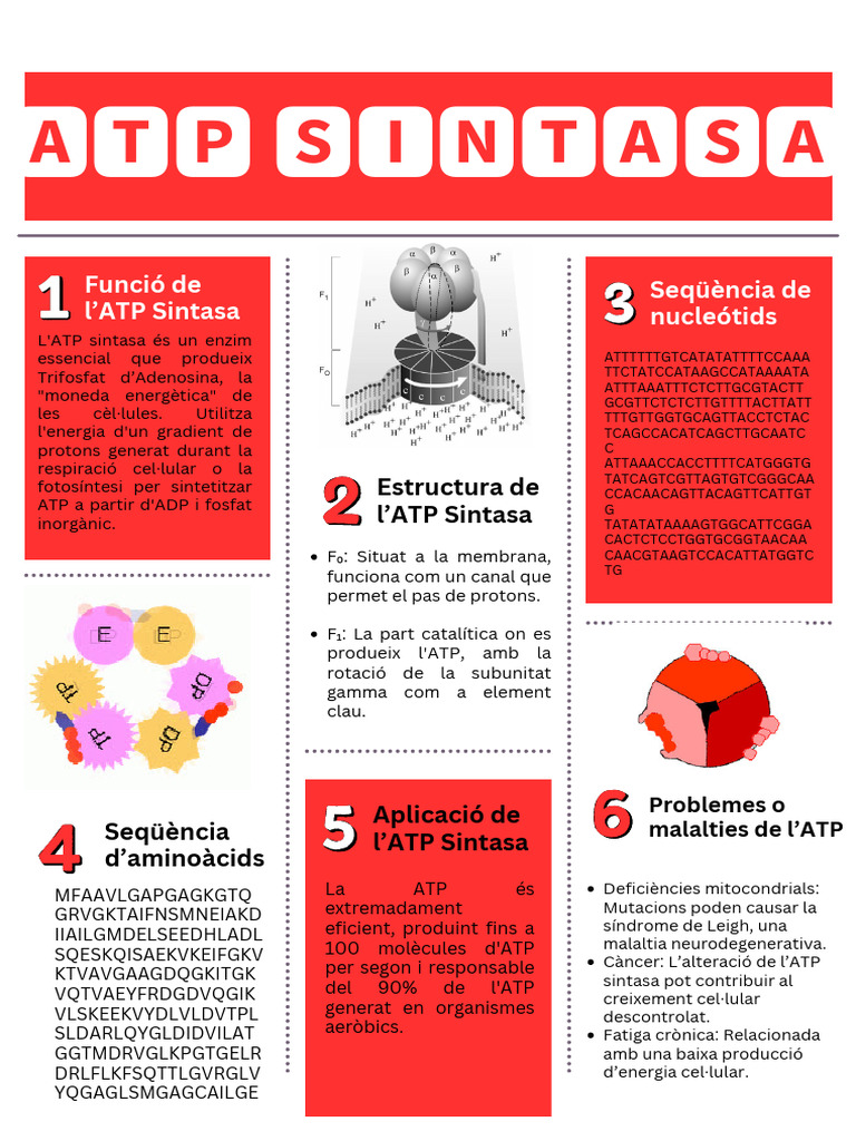 ATP Sintasa | PDF