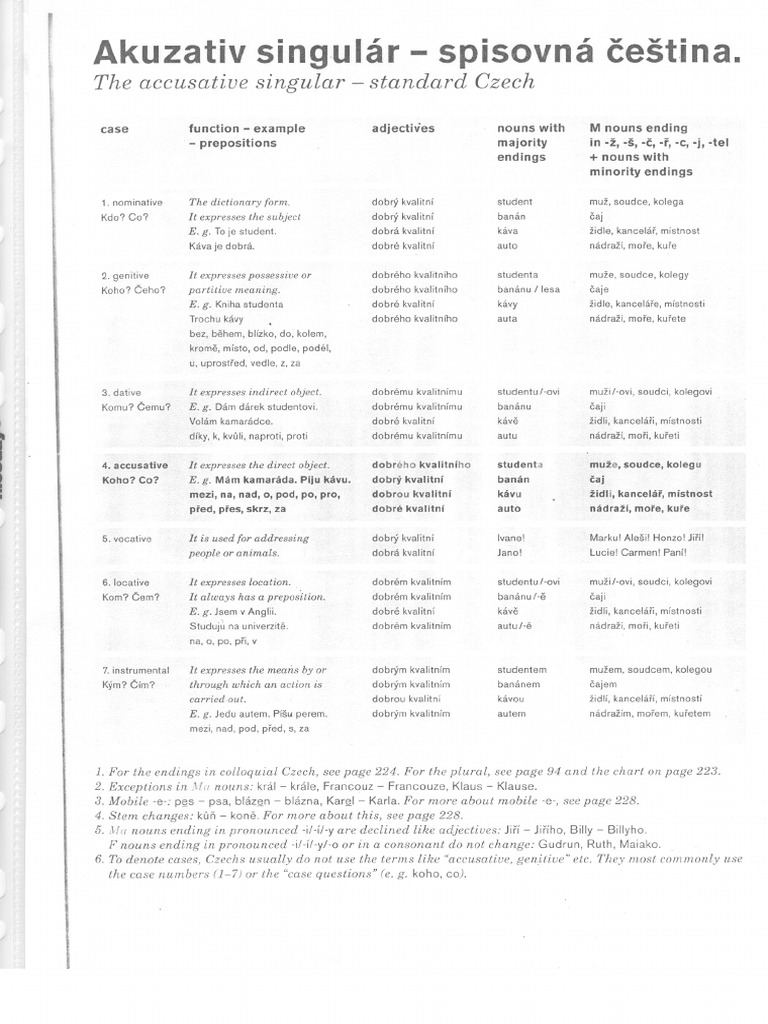 Akuzativ_singular_spisovna | PDF
