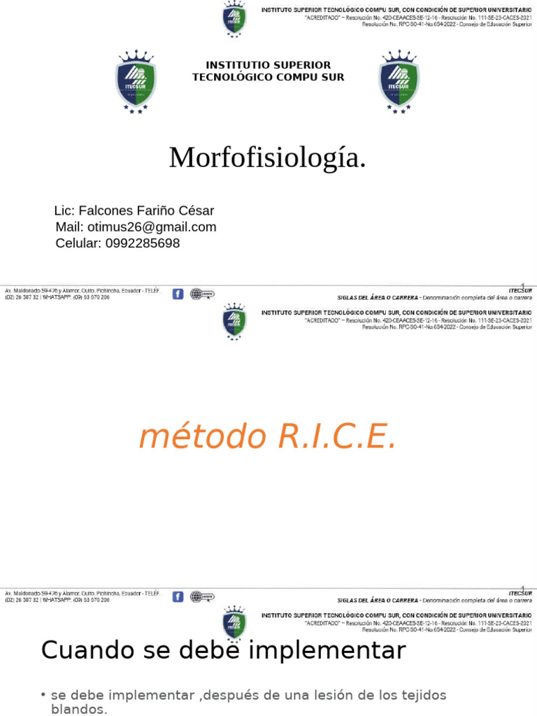 METODO RICE | PDF