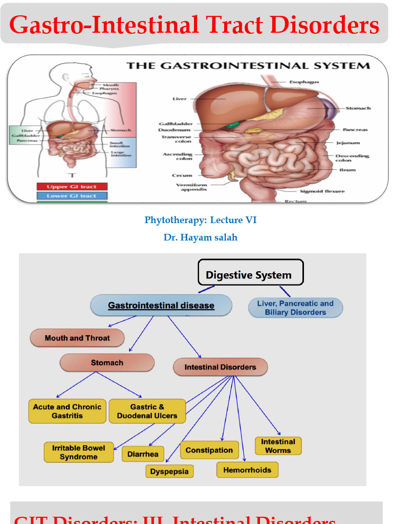 Phytotherapy- Lecture 6 GIT Part II | PDF | Hemorrhoid | Constipation