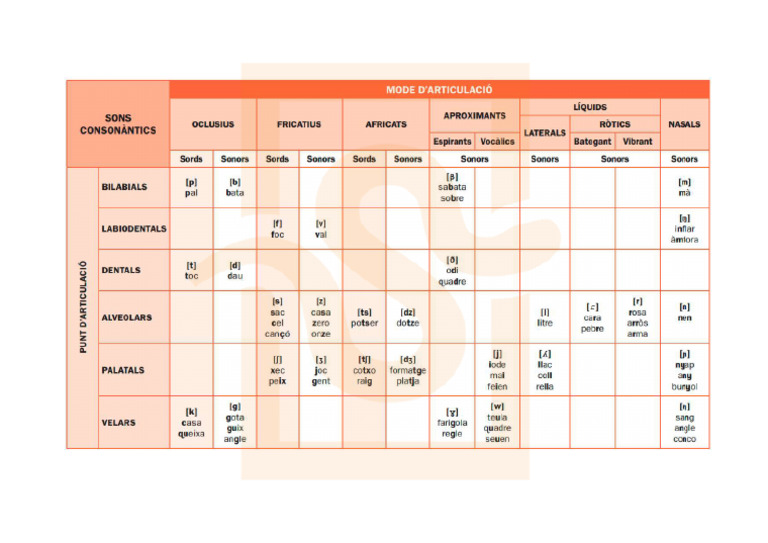 Quadre-de-fonetica | PDF