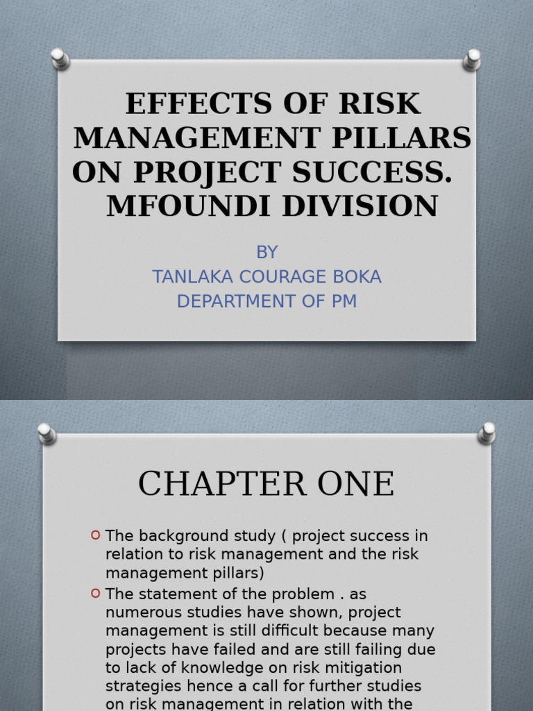Effects of Risk Management Pillars On Project Success | PDF | Risk ...