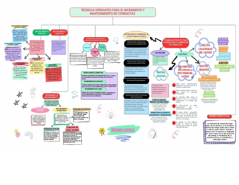 Tecnicas Operantes | PDF