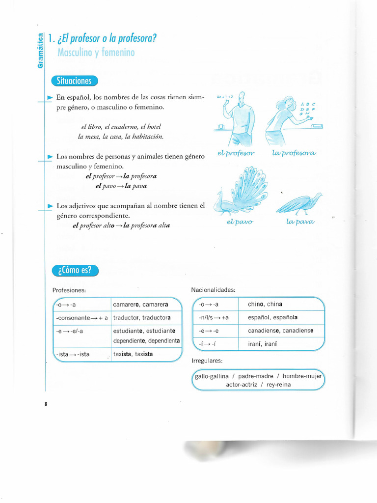 Aprende Gramática A1 Sgel | PDF