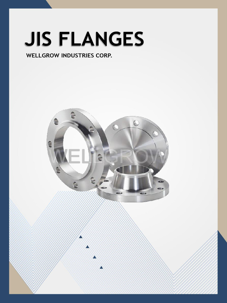 JIS Flanges | PDF