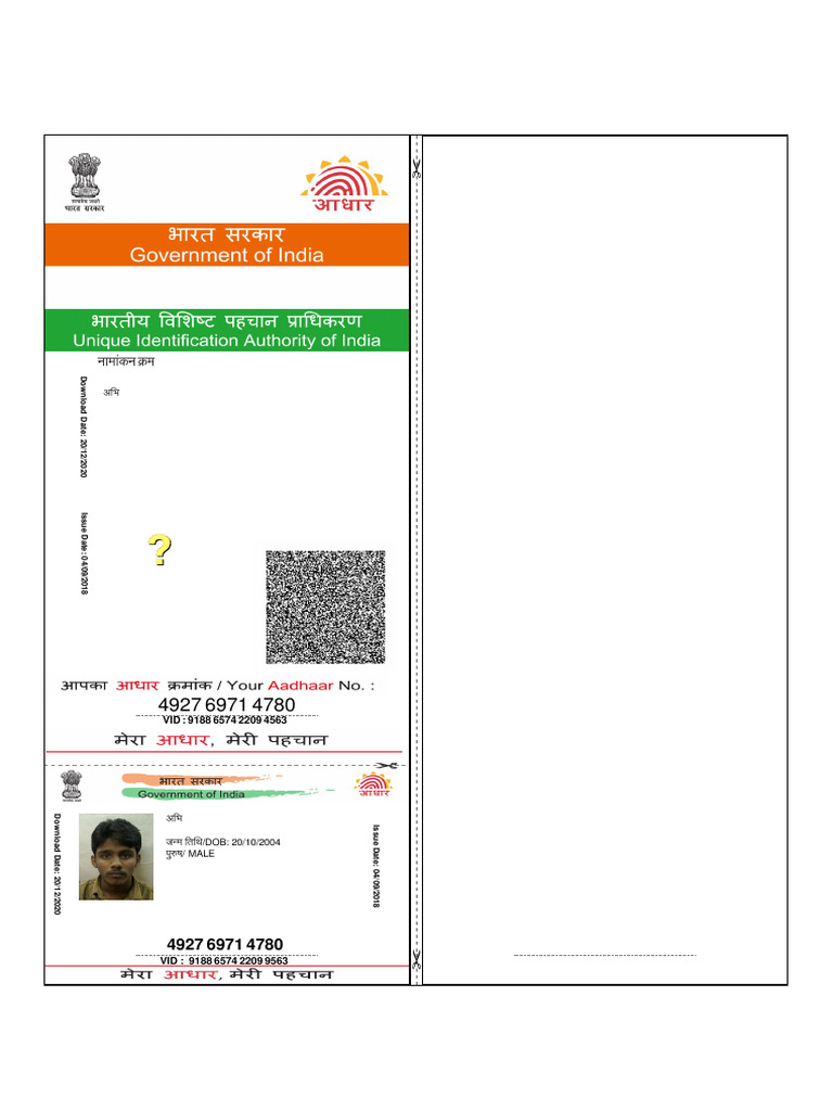 Aadhaar | PDF