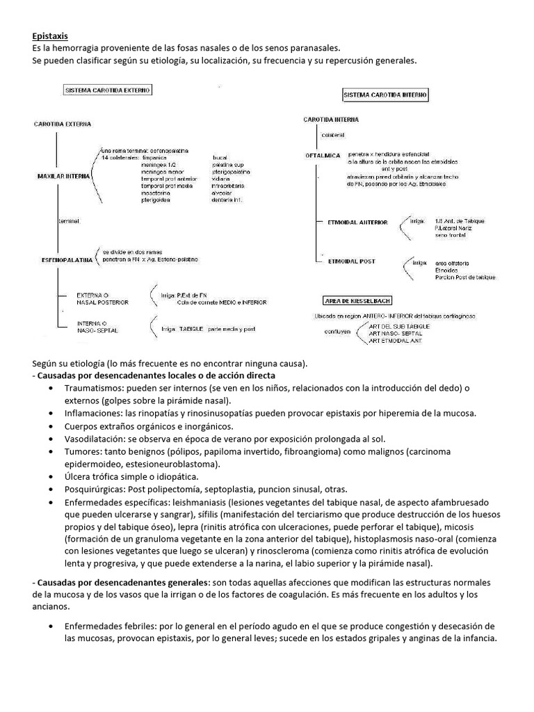 ORL EPISTAXIS (Urgencias ORL) | PDF | Sangrado | Medicina CLINICA
