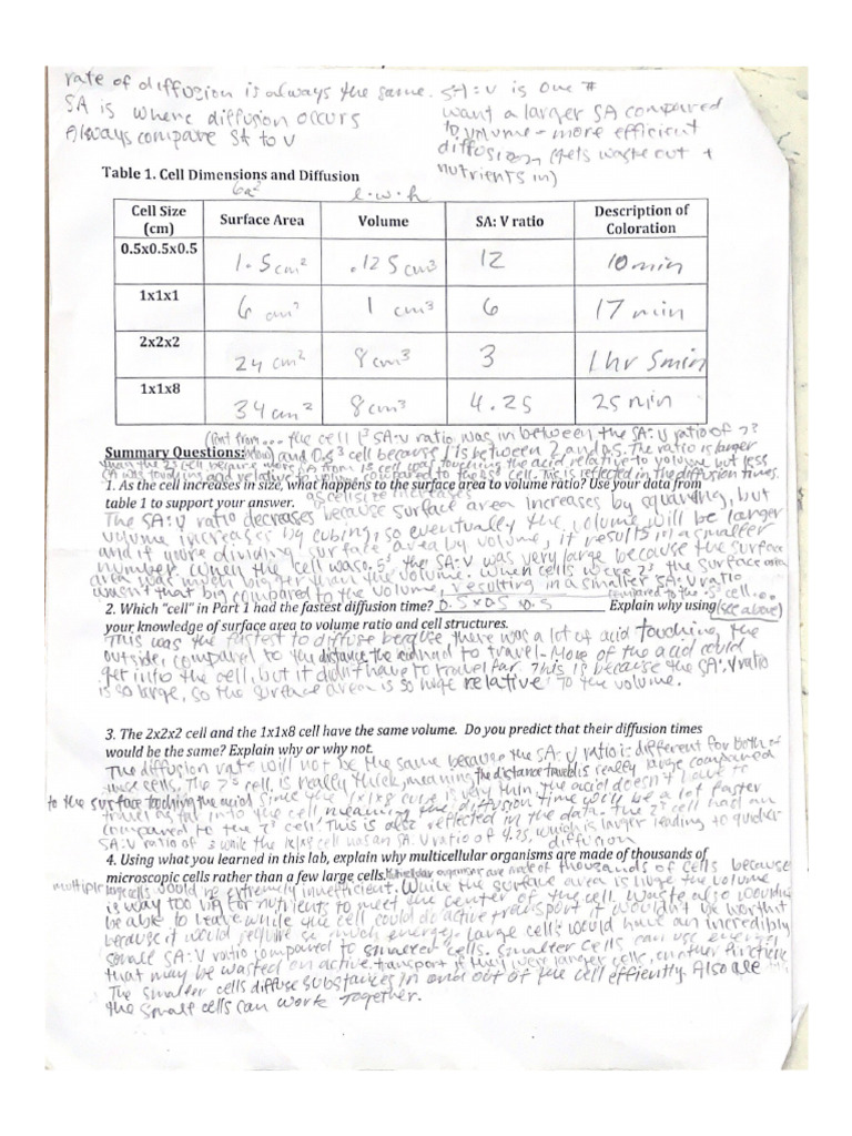 Table 1. Cell Dimensions and Diffusion | PDF