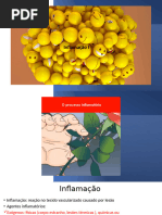 Entendendo a Quimiotaxia | PDF | Quimiotaxia | Sistema imunológico