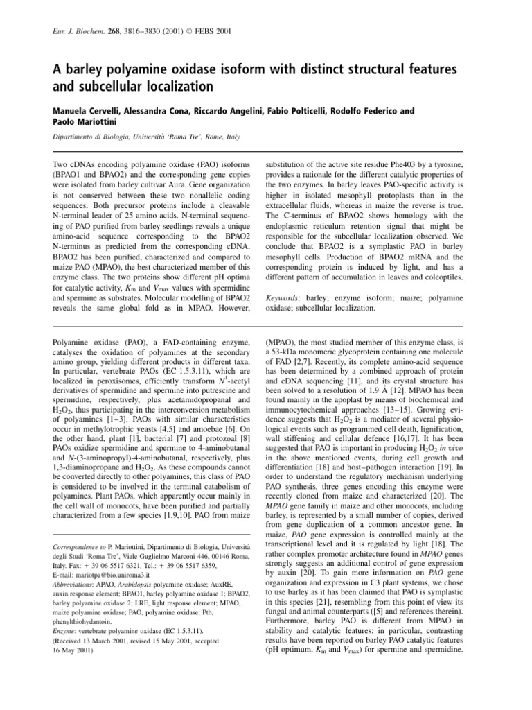 European Journal of Biochemistry - 2001 | PDF | Polymerase Chain ...
