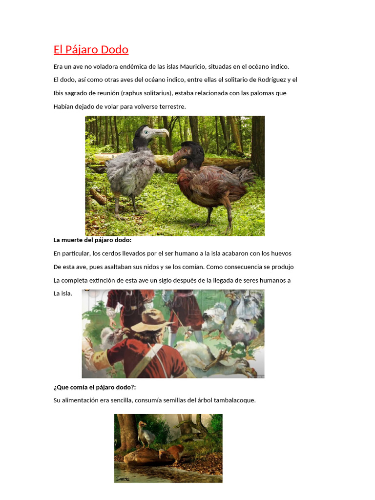Pajaro Dodo | PDF