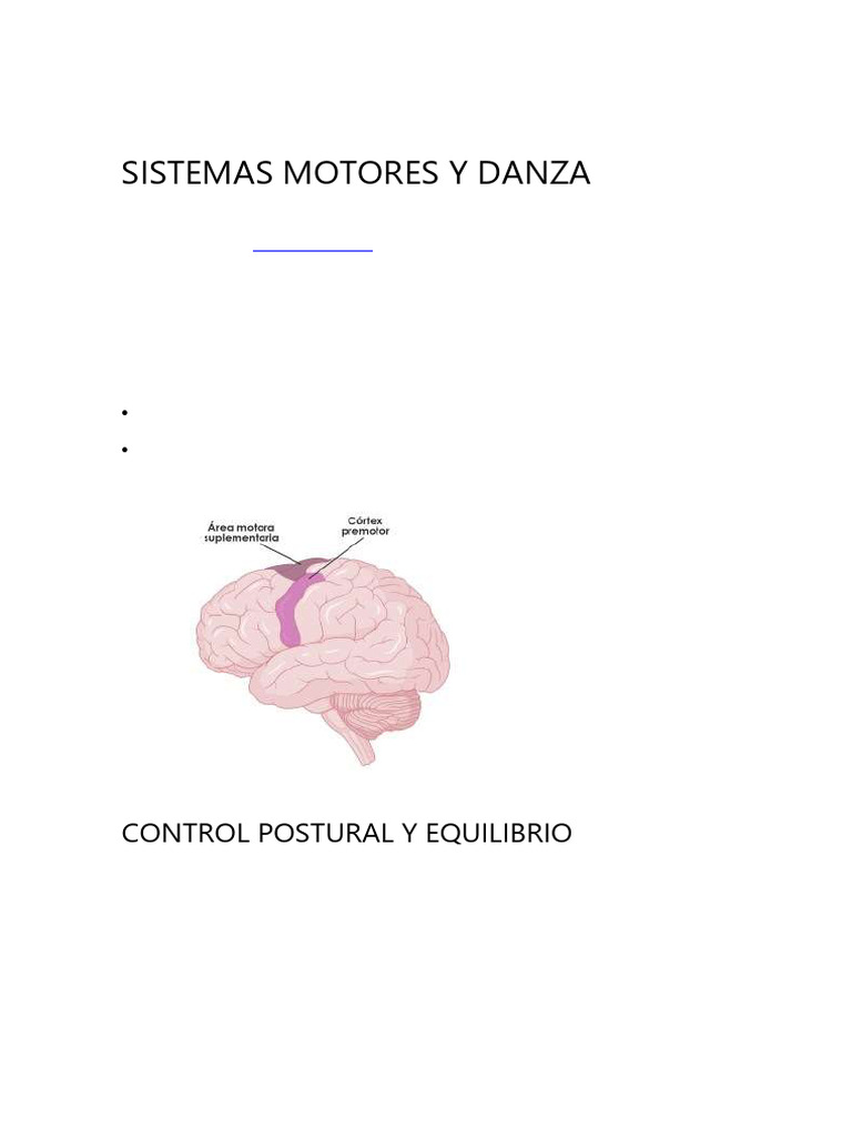 Sistemas Motores y Danza | PDF | Cerebro | Bailes