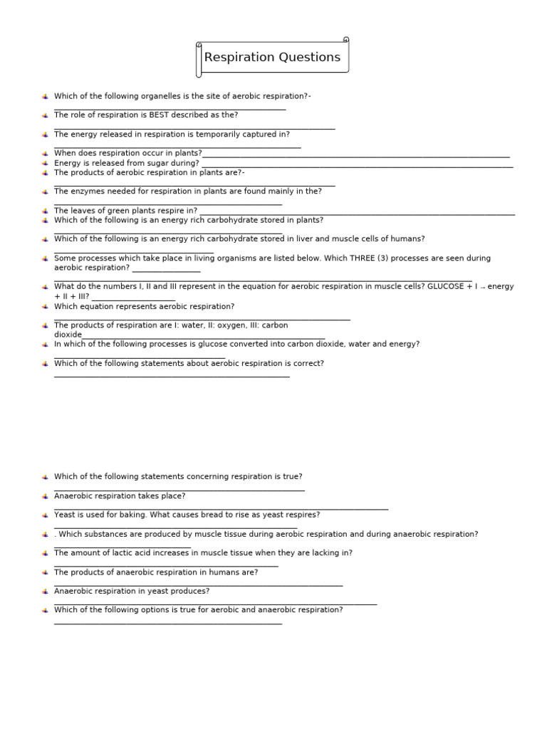 Respiration Questions | PDF | Cellular Respiration | Biology