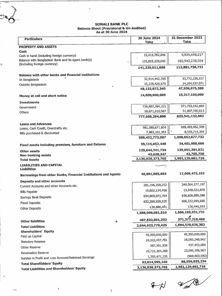 Half Yearly Financial Statement 2024 Pdf