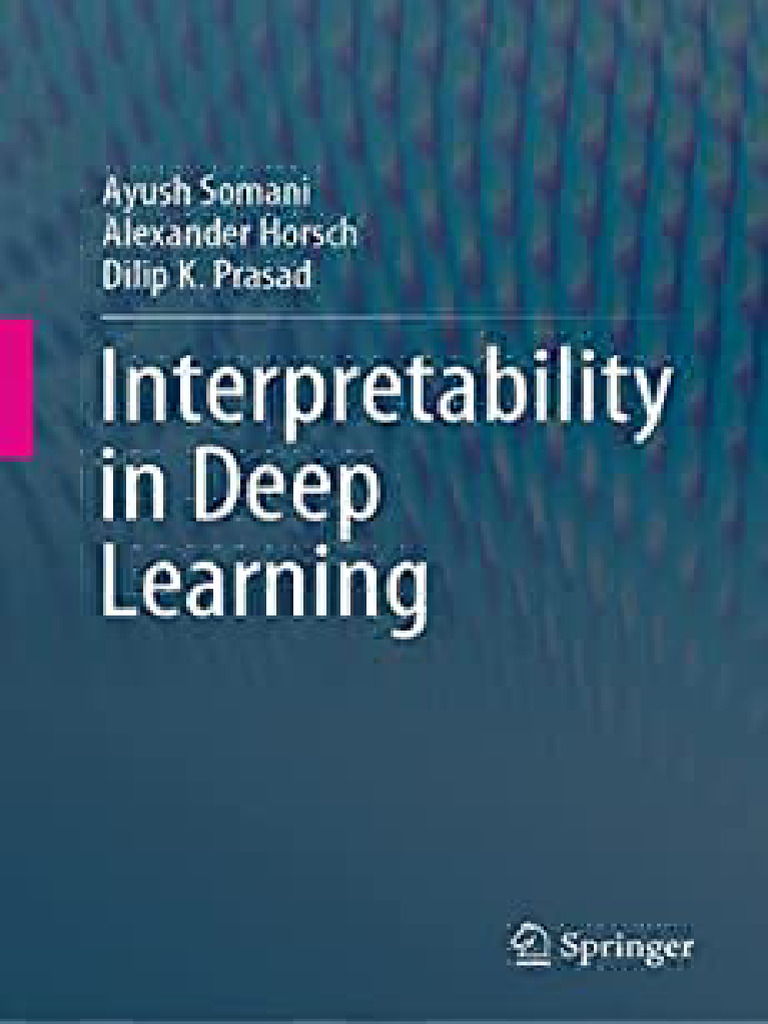 Ayush Somani_ Dilip K. Prasad_ Alexander Horsch - Interpretability in ...