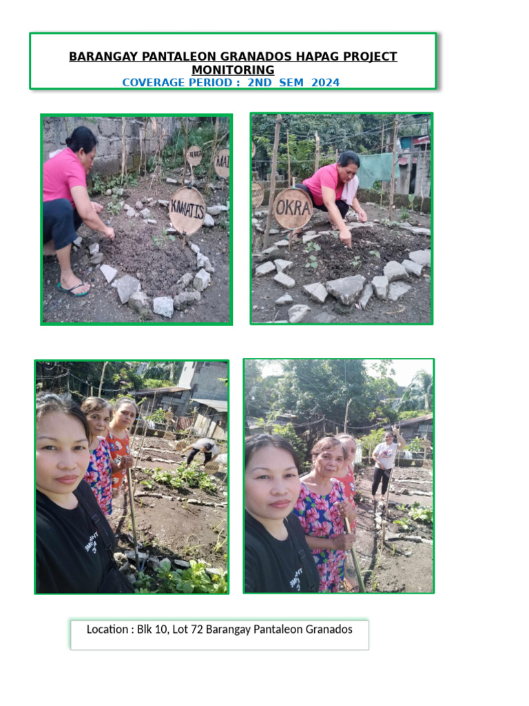Hapag Project Monitoring 2ND Sem 2024 | PDF