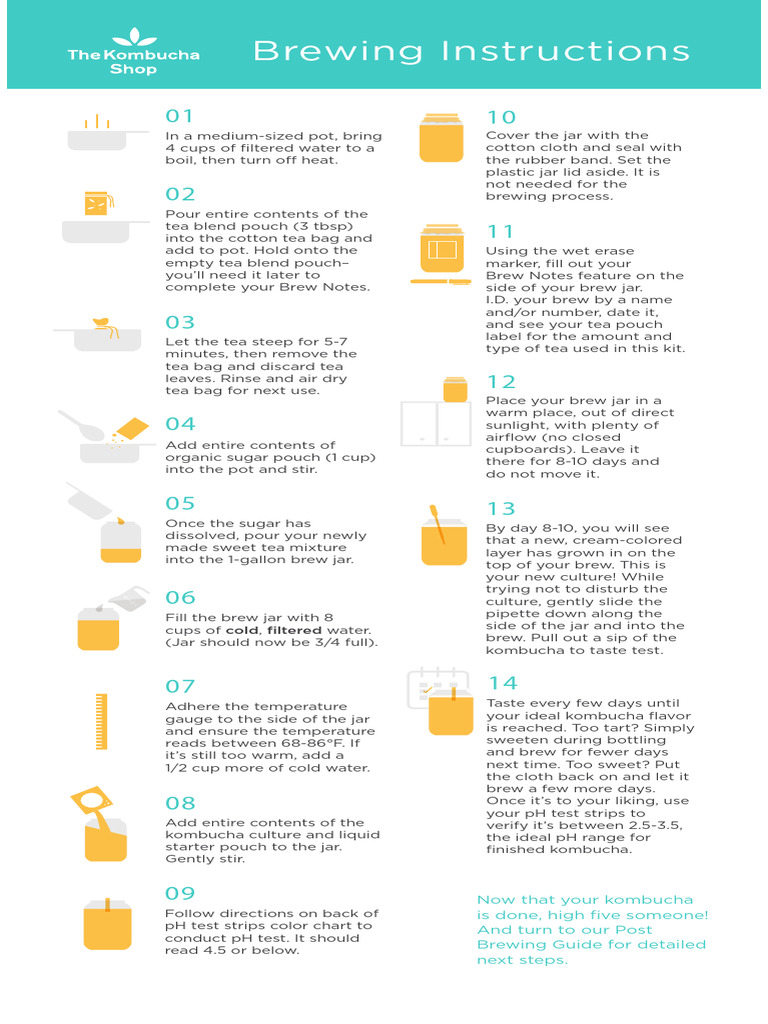 The Kombucha Shop Brewing Instructions | PDF | Tea | Brewing