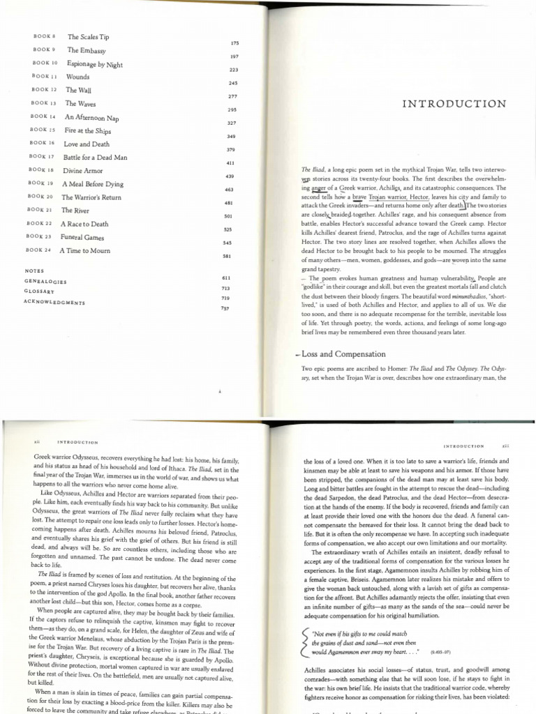 The Iliad - Intro and Translator's Note-1 | PDF | Hector | Achilles