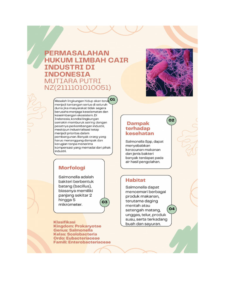 Mutiara Putri NZ - 2111101 - Mikro | PDF
