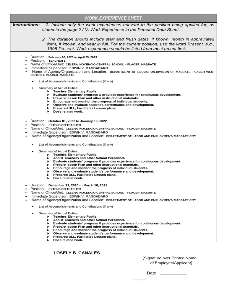 WORK EXPERIENCE SHEET losely araquel | PDF | Teachers | Lesson Plan