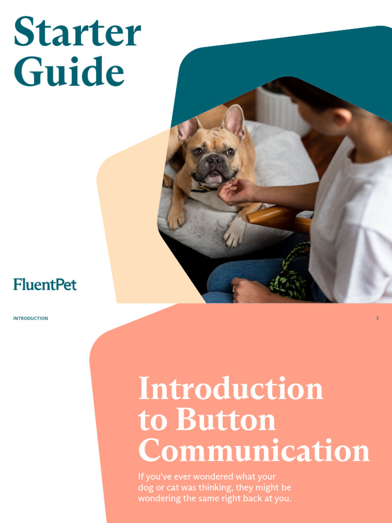 FluentPet Starter Guide | PDF | Learning | Word
