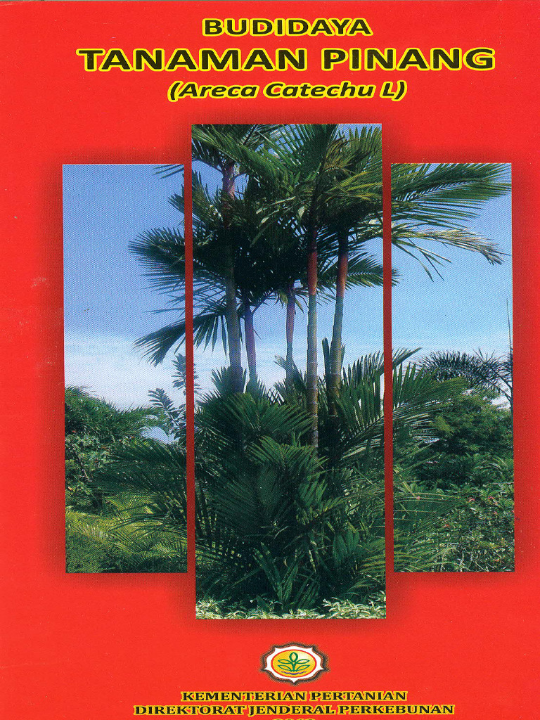 Budidaya Pinang | PDF